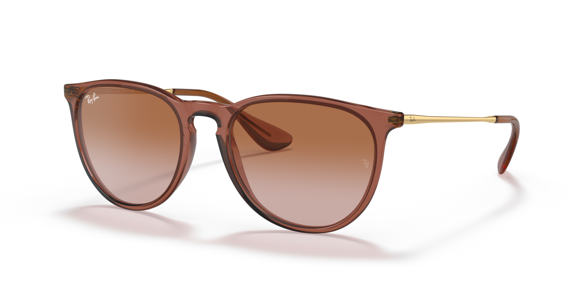 Sunglasses Ray-Ban RB4171 Erika Classic | Free Shipping | Glasses.com®